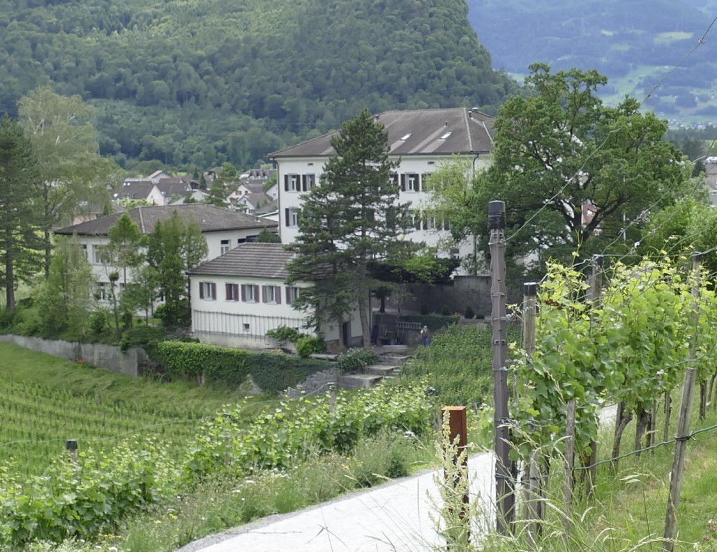 Gemeinde Balzers - Balzers - Sommer