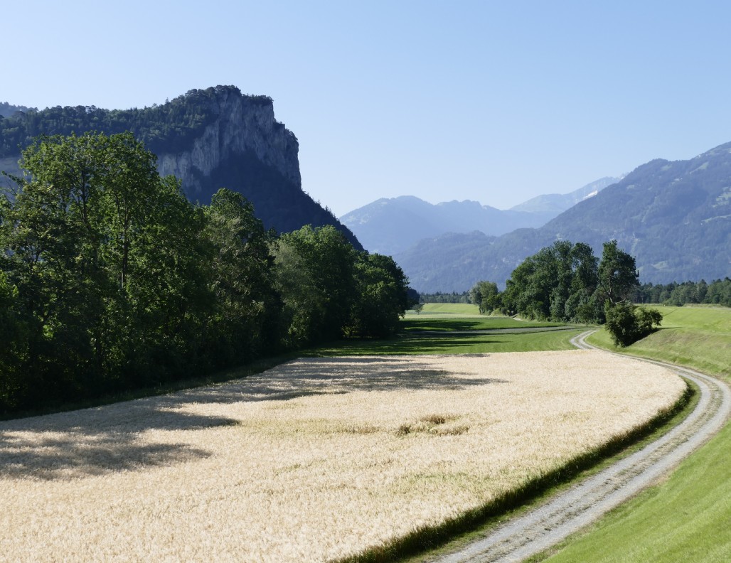 Gemeinde Balzers - Balzers - Sommer, Isolde Frick